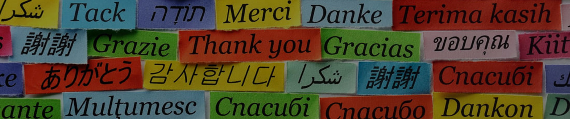 Language - American Sports Academy & Learning Center | Oregon